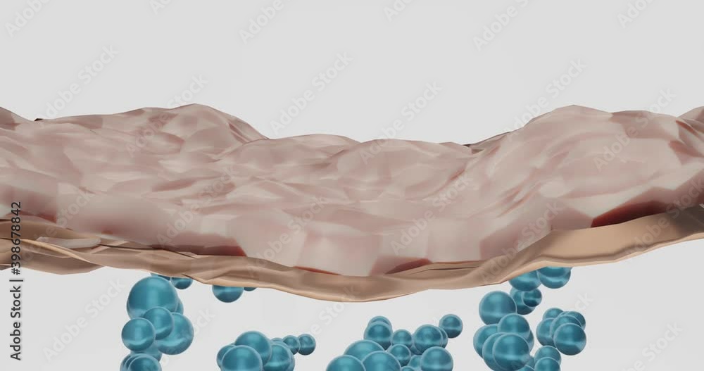 3D animation of useful molecules passes through the lower layers of the ...