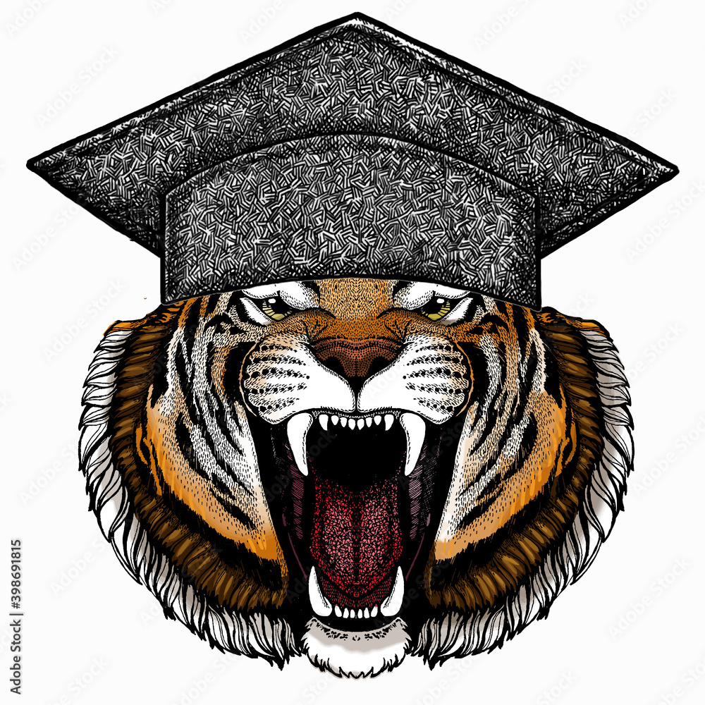 Vector tiger portrait. Square academic cap, graduate cap, cap ...