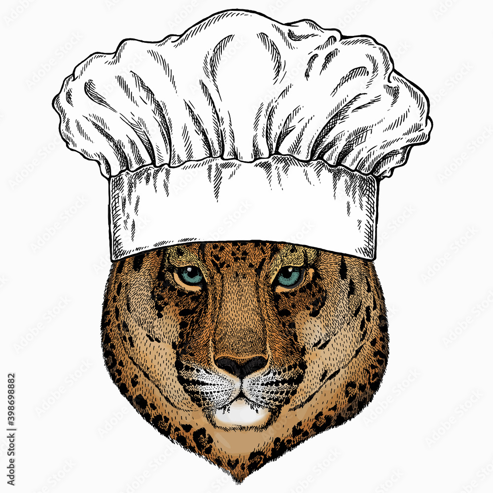 Leopard head. Chef cook hat. Restaurant logo. Wild cat. Animal for ...