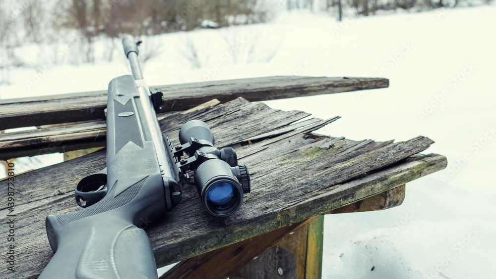 Pneumatic rifle with an optical sight, for sport hunting Stock Photo ...
