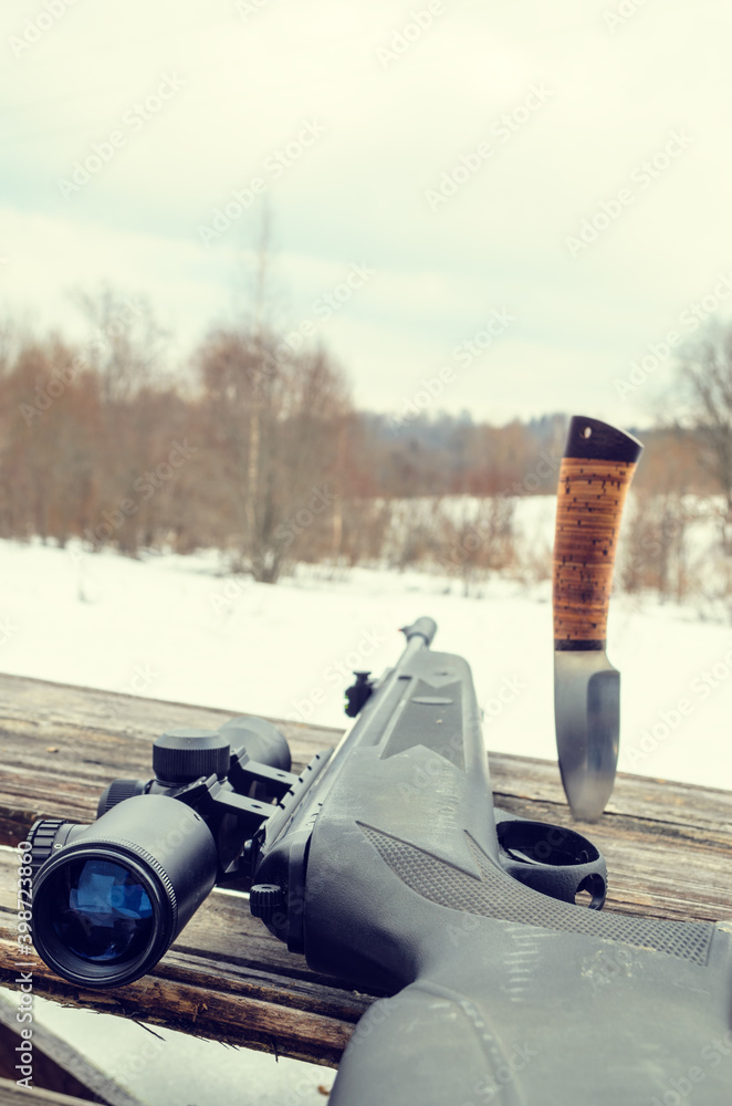 Pneumatic rifle with an optical sight, for sport hunting Stock Photo ...