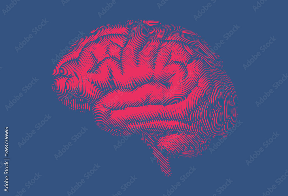 Red woodcut drawing brain isolated on blue BG Stock Vector | Adobe Stock