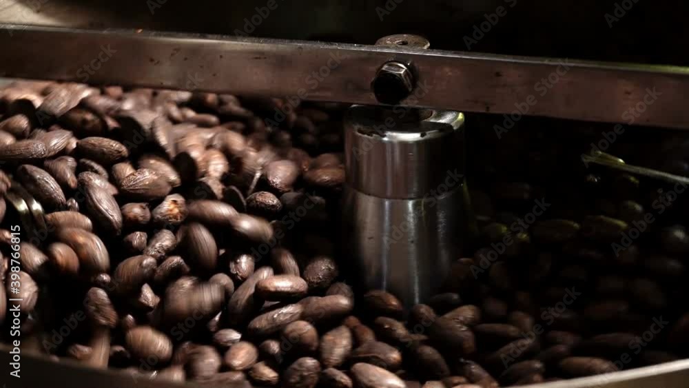 Small cocoa roaster Many hot freshly baked cocoa beans fall from the ...
