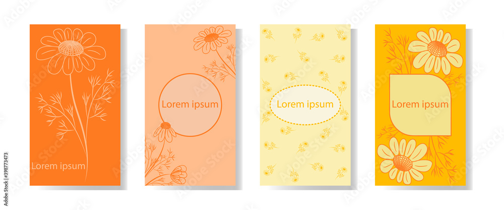 Vector design template for packaging, labels, invitations in a ...