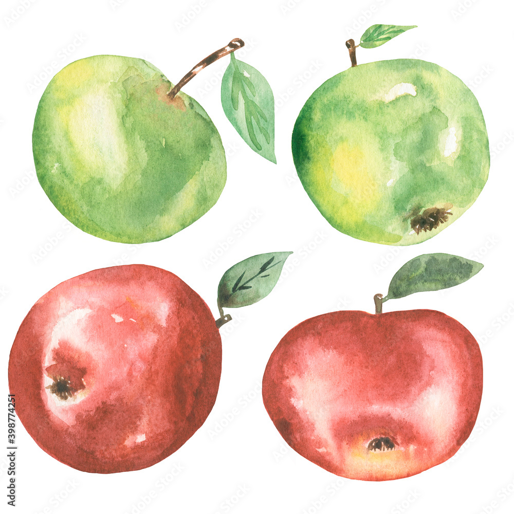 Watercolor hand painted red apple set illustration. Fruit clipart ...