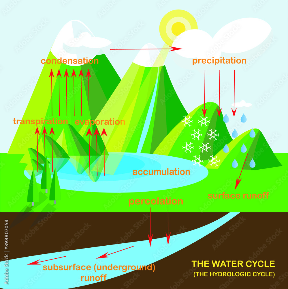 Scheme of the Water cycle, flats design stock vector illustration for ...