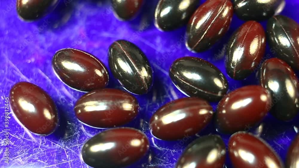 Maroon and black oval spindle-shaped capsules in a shiny gel shell move ...