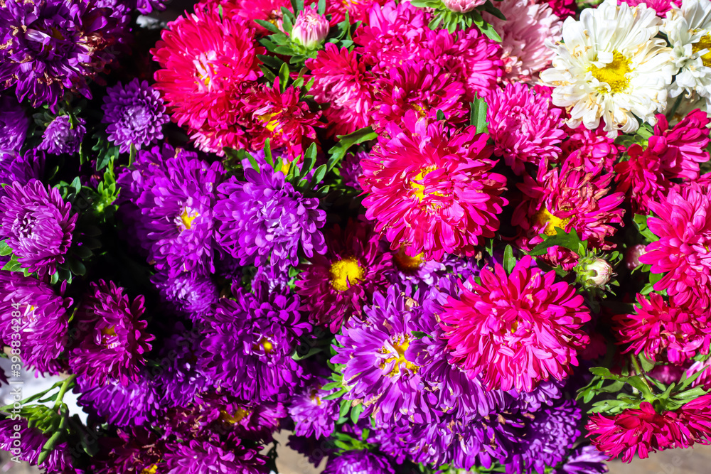 Foto de Bunga Chrysant. Chrysant Flowers are flowering plants of the ...