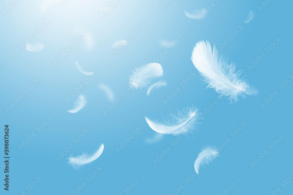 White Feathers Falling From The Sky