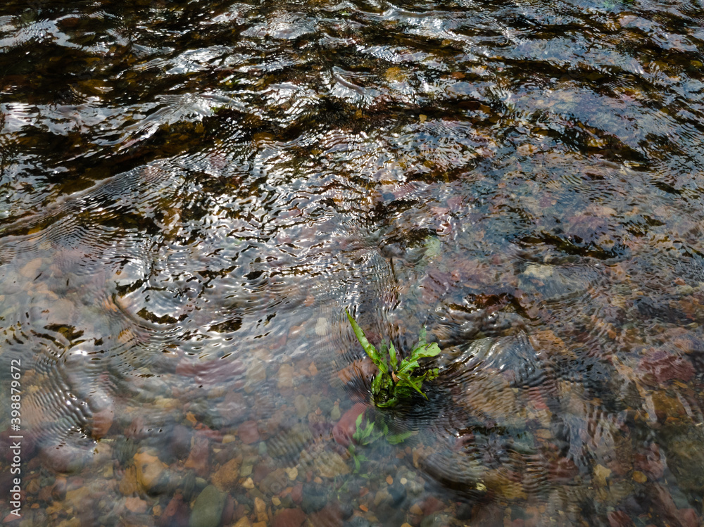 Wavy surface of water on shallow rapid stream with colorful gravel at ...
