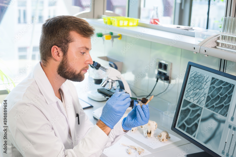 Archaeologist working in natural research lab. Laboratory assistant ...
