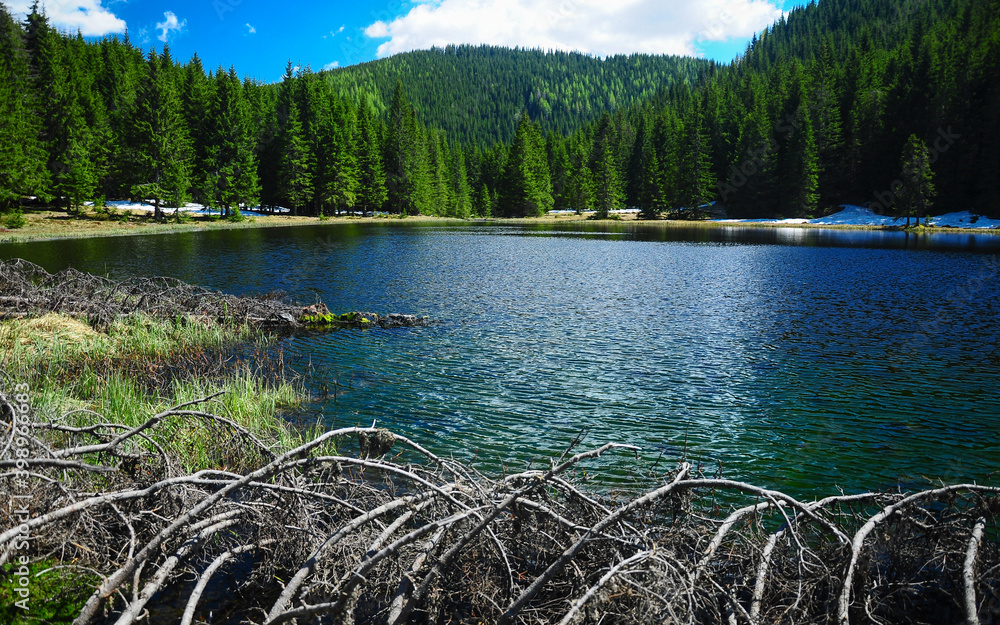 Iezerul Latoritei Natural Reservation. A small glacial lake located in ...