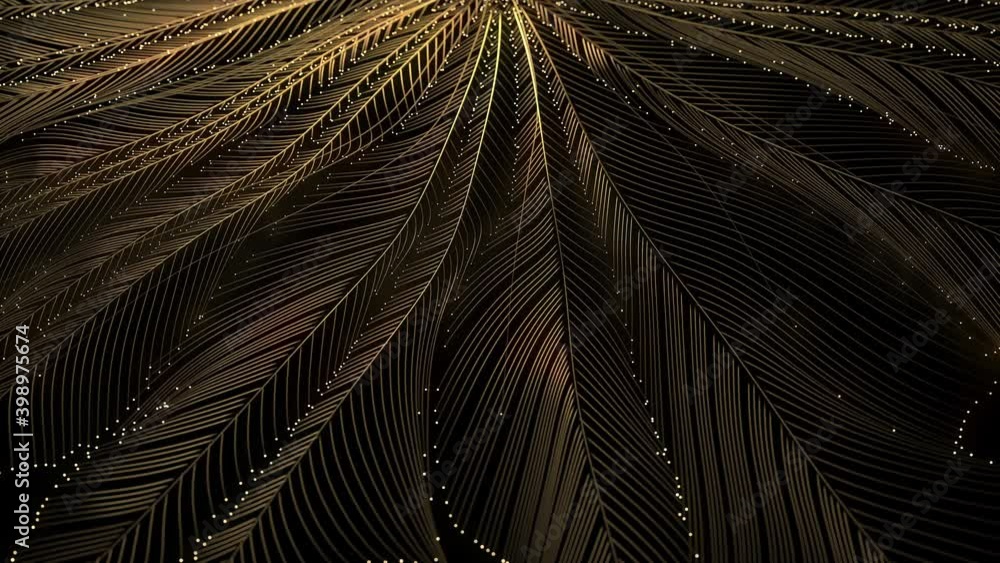 4k Abstract gold background. Growing lines. Luxury golden motion ...