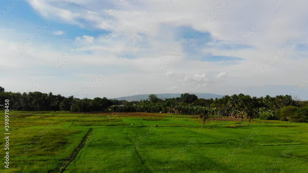 Aerial footage of vast rice fields from the Philippines (Negros ...