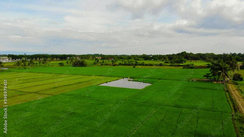 Aerial footage of vast, flooded rice paddies from the Philippines ...