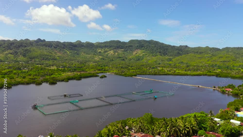 Aerial view of fish ponds for bangus, milkfish. Fish farm, top view ...