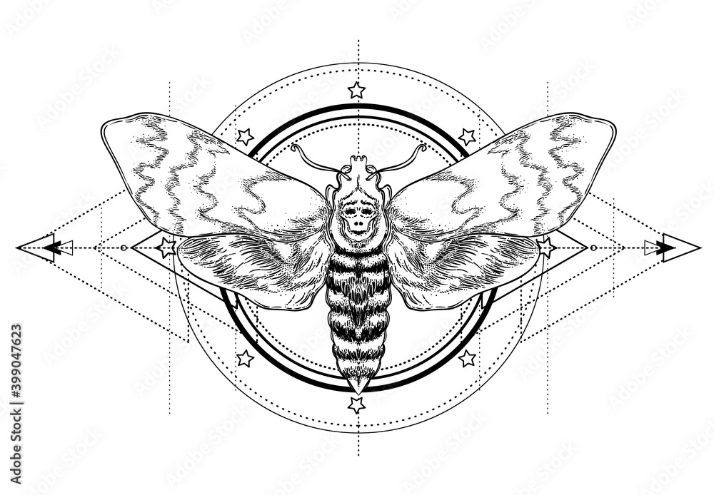 Black and white moth over sacred geometry sign, isolated vector ...