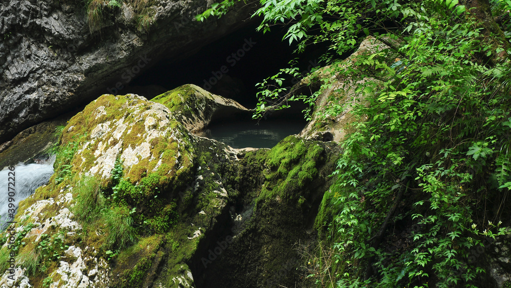 A small pond formed through erosion on top of a mossy cliff maybe from ...