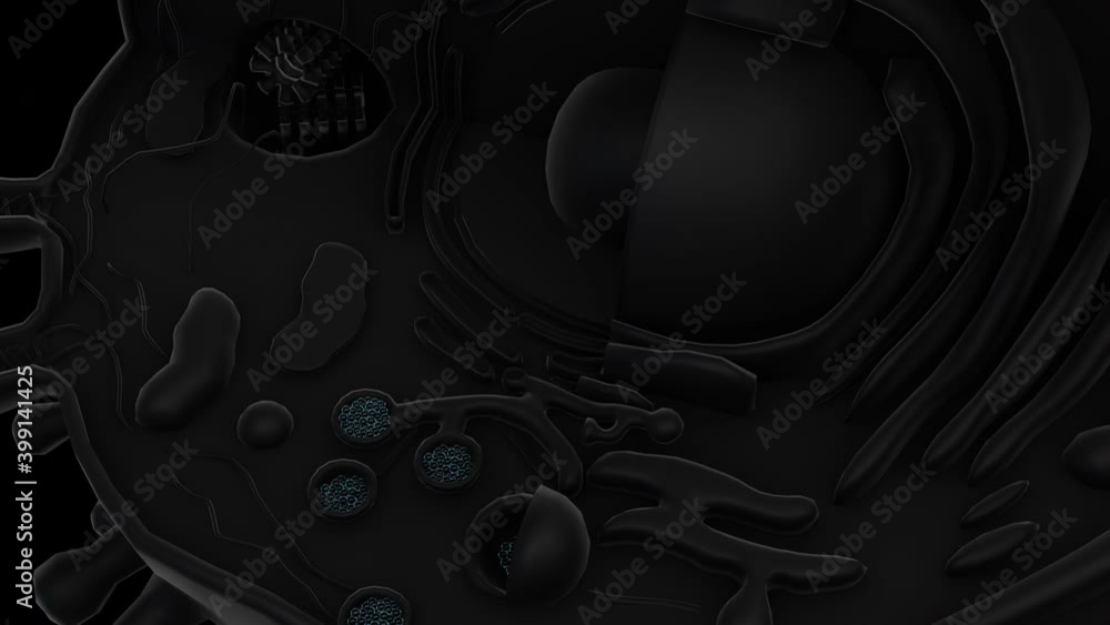 Vidéo Stock Human Cell rotation - Secretion being released from cell by ...