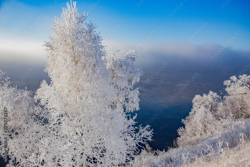 Large white snowy tree on a background of black water and fog. Mist ...