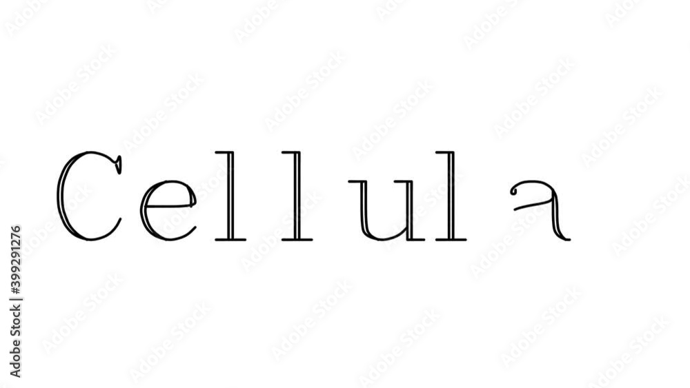 Cellular Animated Handwriting Text in Serif Fonts and Weights Stock ...