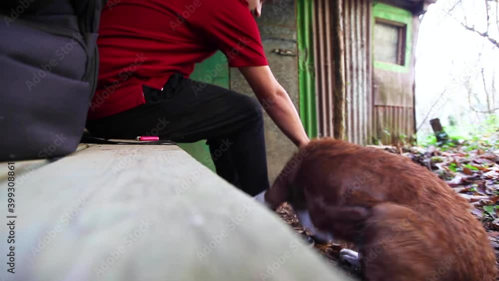 Handsome Young Man Wrestles with His dog, Scratches His Head, Cuddles ...