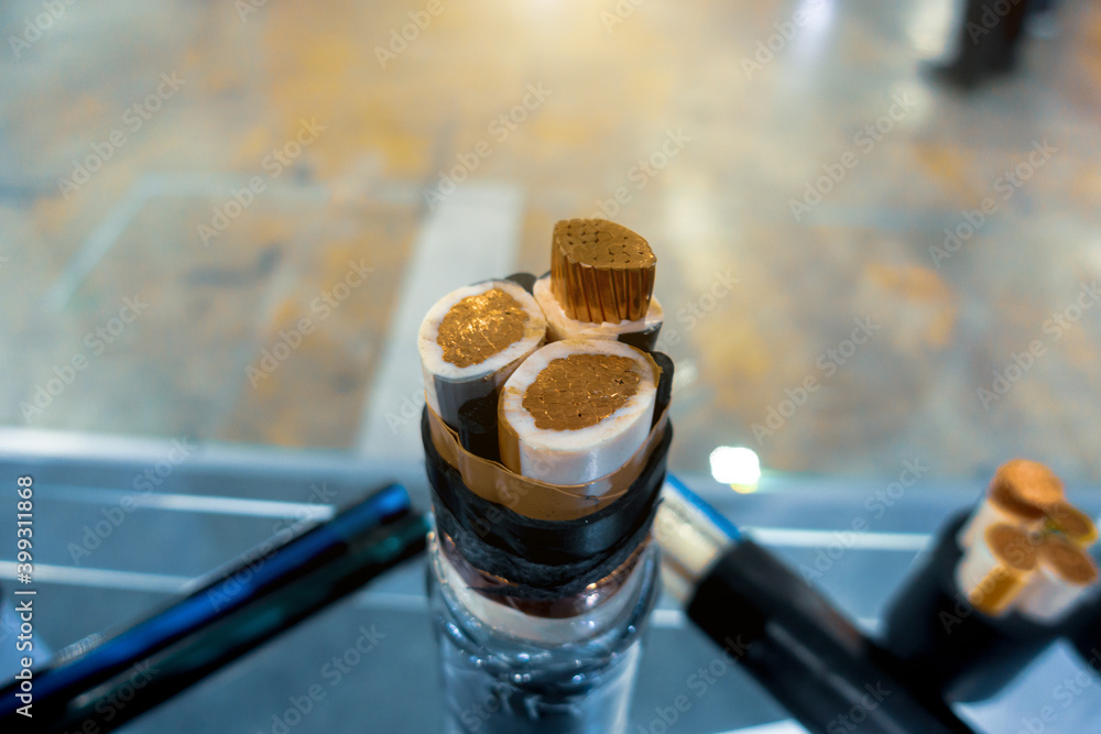 Sample multicore cable. Cut and stripped wire Stock Photo | Adobe Stock