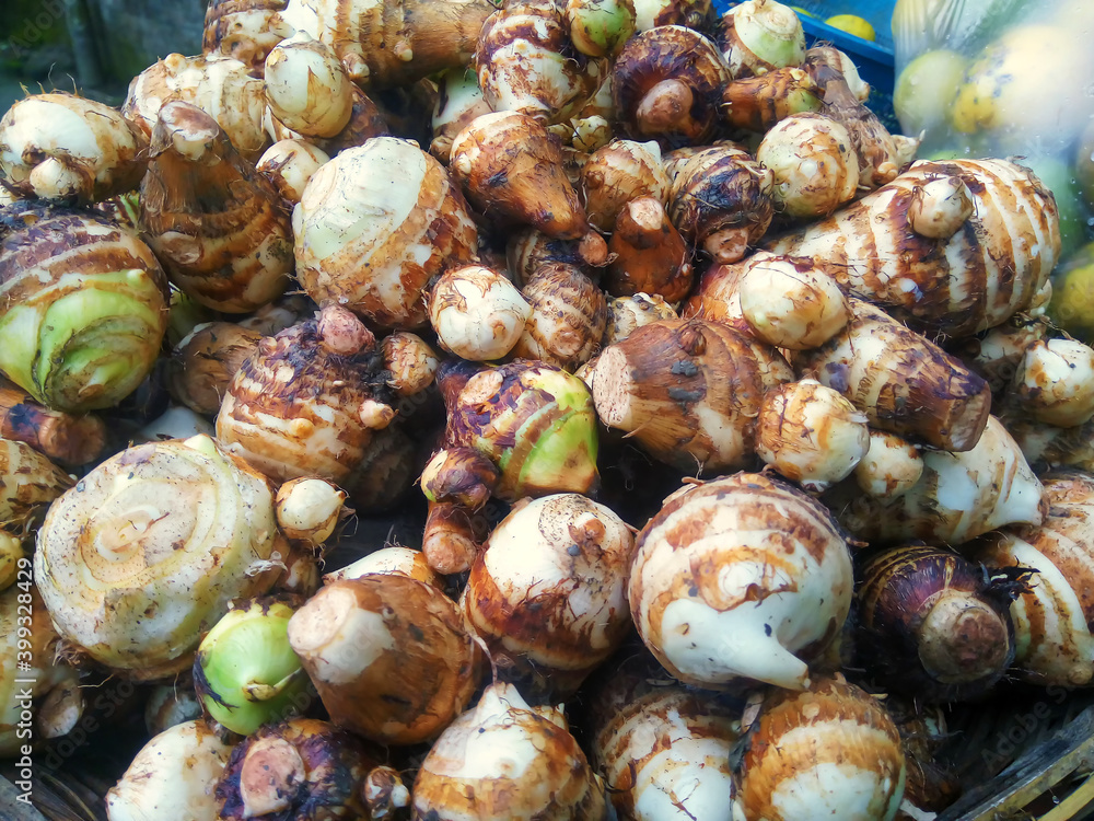 Heap of fresh taro corms,satoimo potatoes or taro roots vegetables in a ...