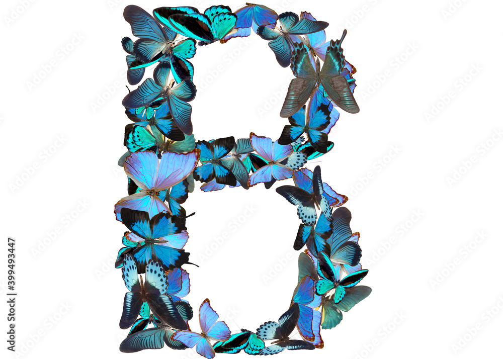letter of blue butterfly Stock Illustration | Adobe Stock