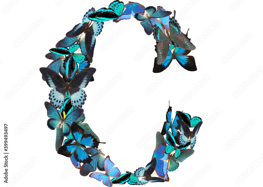 letter of blue butterfly Stock Illustration | Adobe Stock