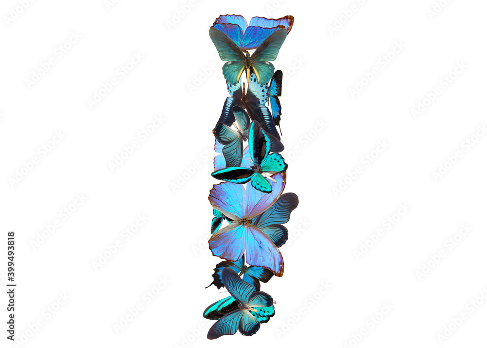 letter of blue butterfly Stock Illustration | Adobe Stock