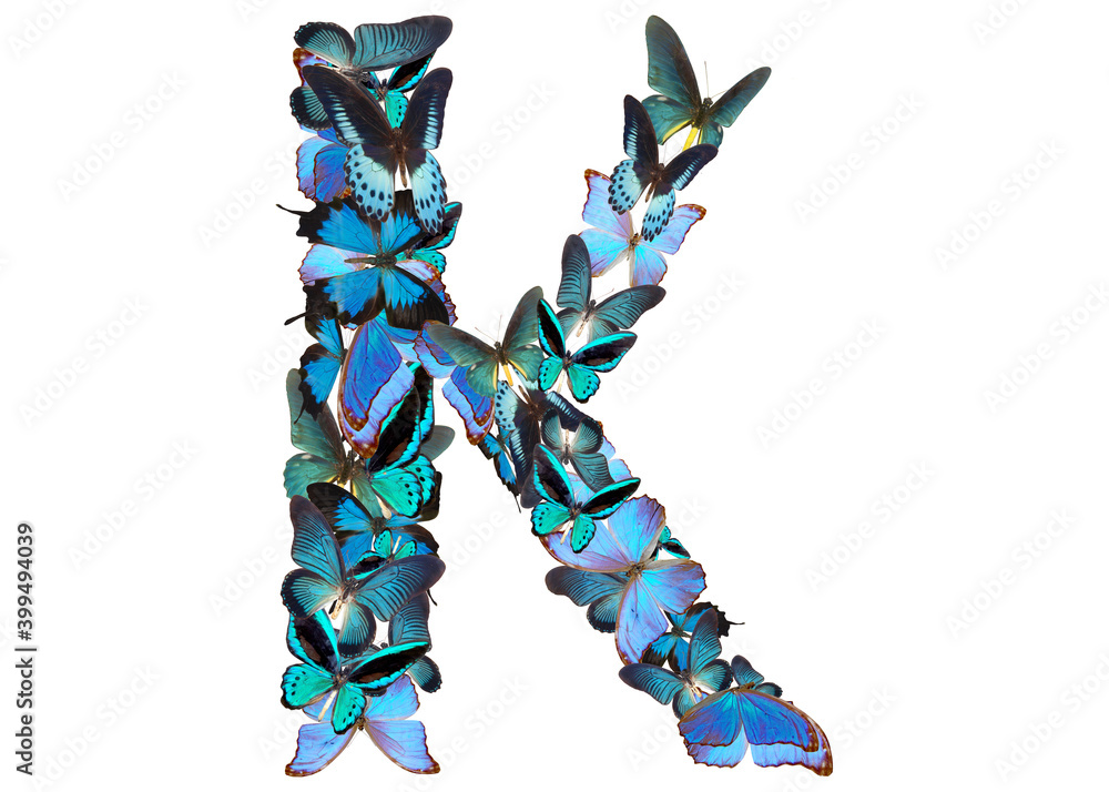 letter of blue butterfly Stock Illustration | Adobe Stock