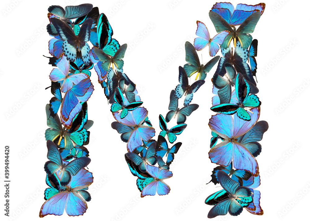 letter of blue butterfly Stock Illustration | Adobe Stock