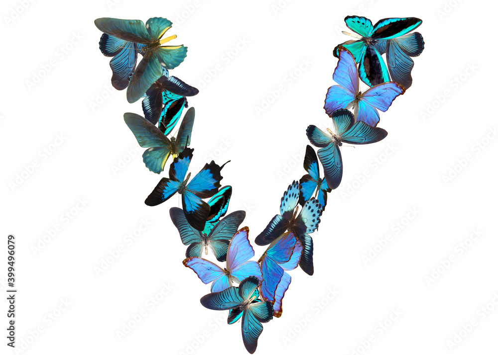 letter of blue butterfly Stock Illustration | Adobe Stock