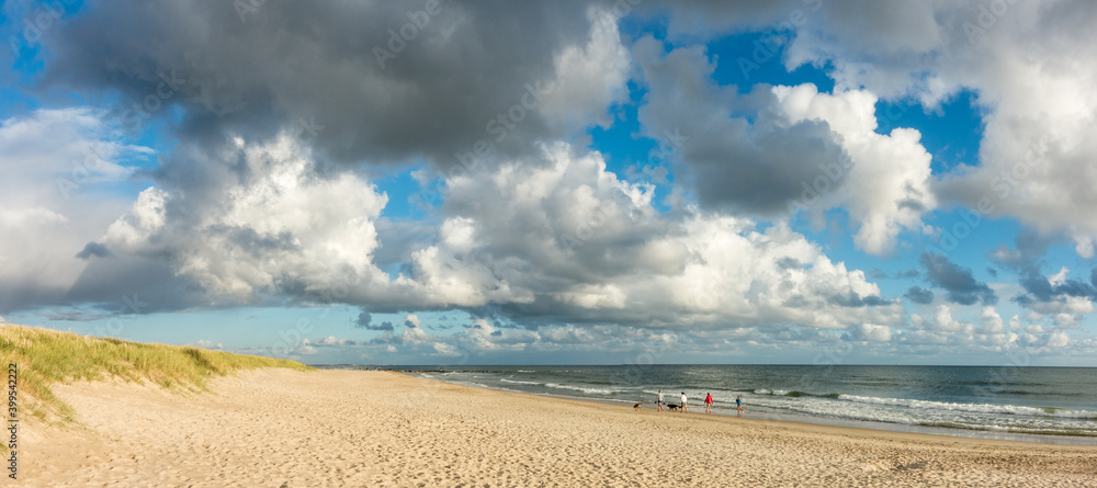 Beach sand panorama with people and dogs. Blue sky and dramatic clouds ...