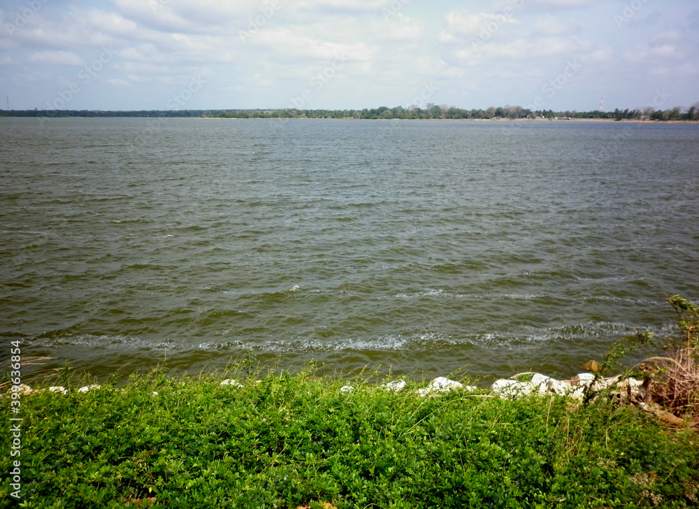 Small green plants and water wave at Tissa Wewa reservoir,Anuradhapura ...