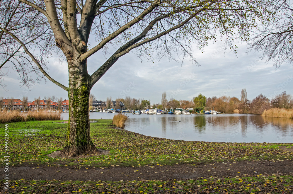 Foto de Rotterdam, The Netherlands, December 13, 2020: picturesque ...