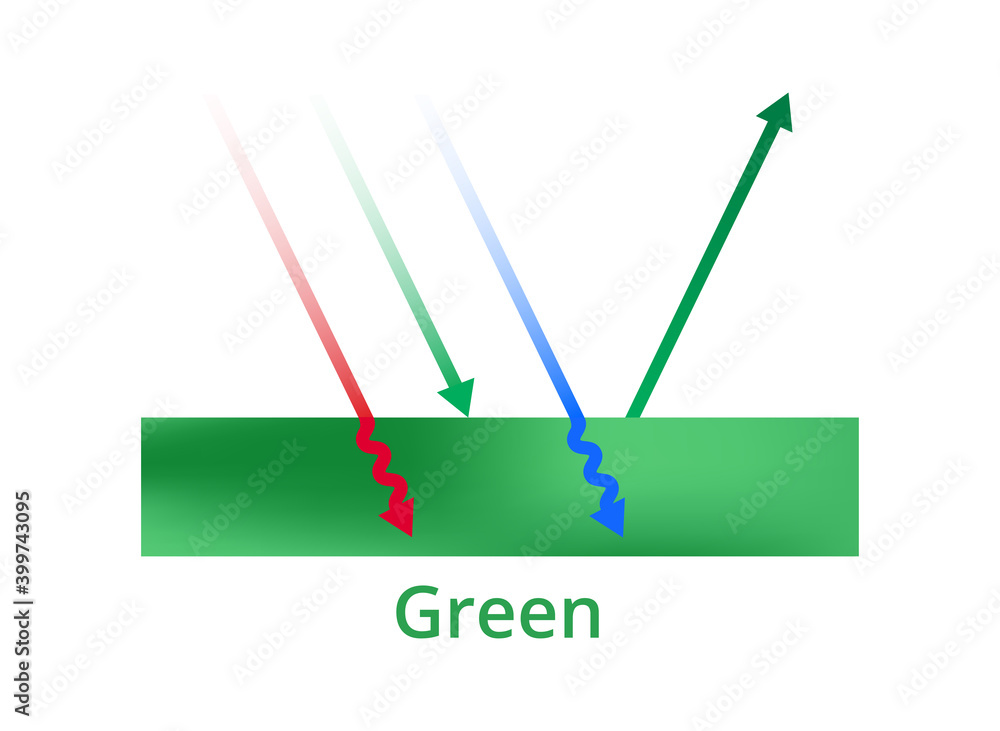 Vector scientific illustration of light reflection, green color, green ...