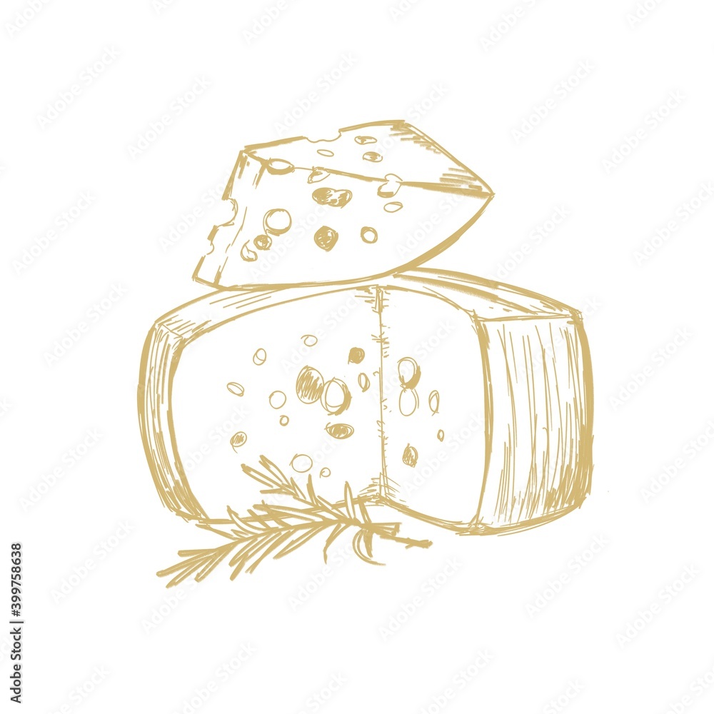 Piece of cheese on white background with rosemary hand drawing Stock ...