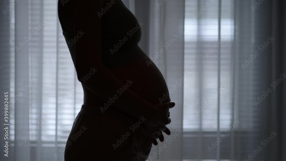 Silhouette Of A Young Pregnant Slender Woman Appears On The Background