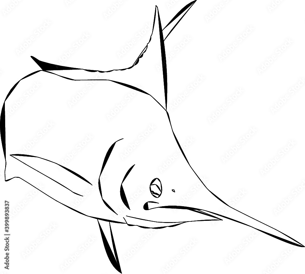 Marlin Outline