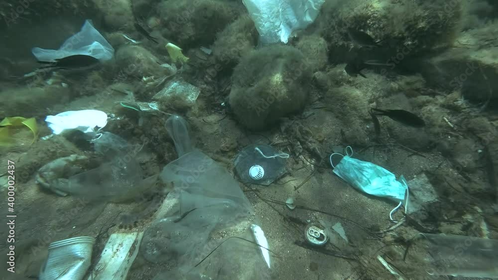 Video „Dead Greater weever fish (Trachinus draco) hitting trapped in ...