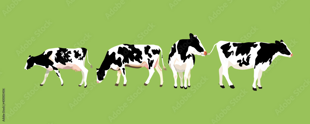 Poster Holstein – Wall Art | UkPosters