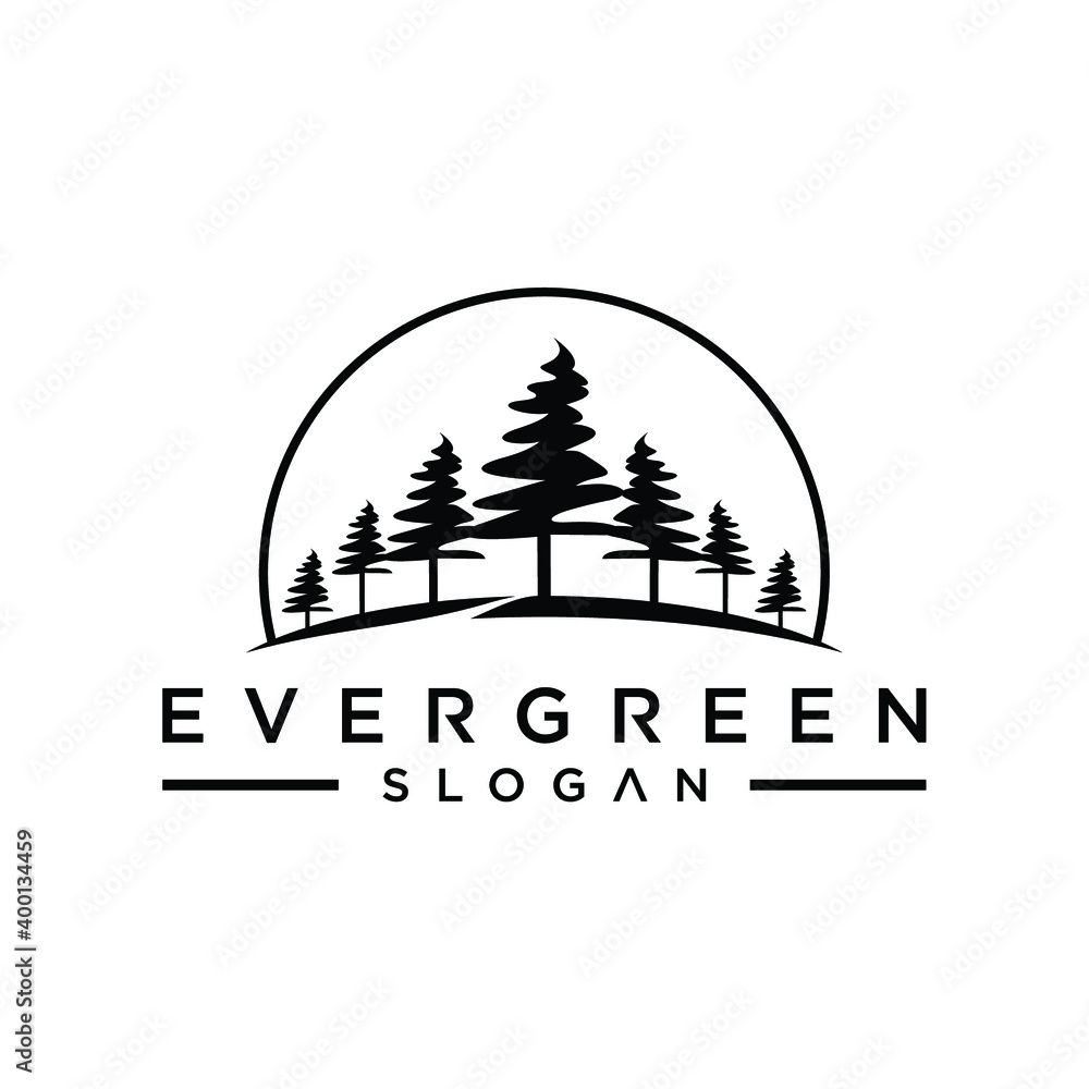 pine evergreen fir hemlock spruce conifer cedar coniferous cypress ...