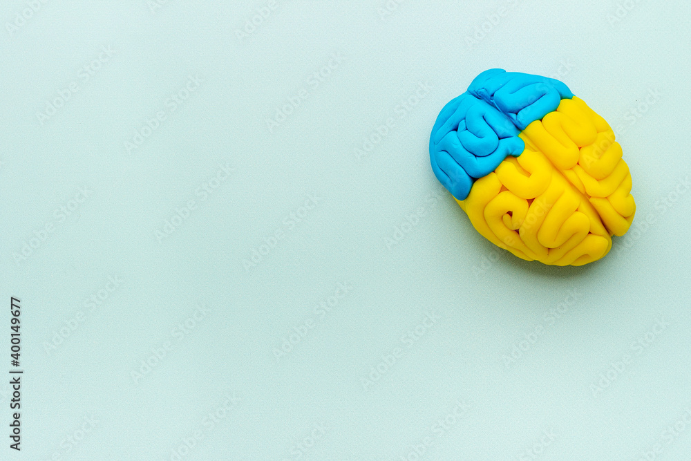 Clay model of human brain. Mental health bckground, top view Stock ...