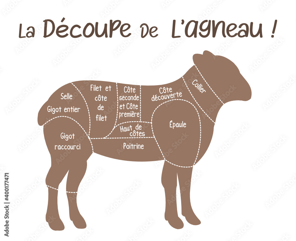 La découpe de l'agneau, boucherie, schéma découpe de l'agneau en ...