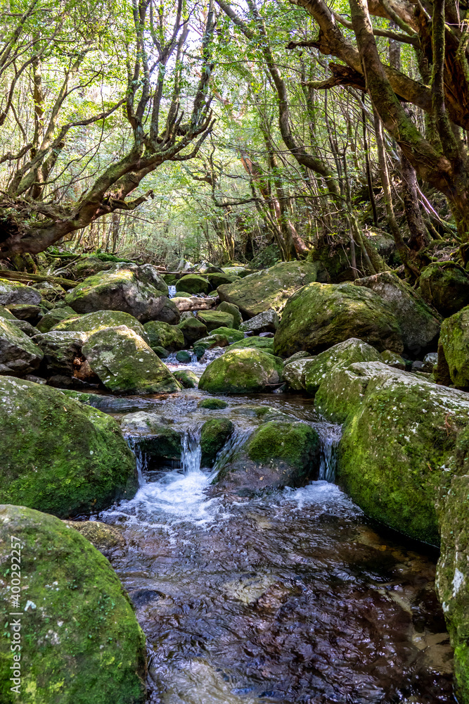Foto de The Shiratani Unsuikyo Ravine in spring, Shiratani Unsuikyo on ...