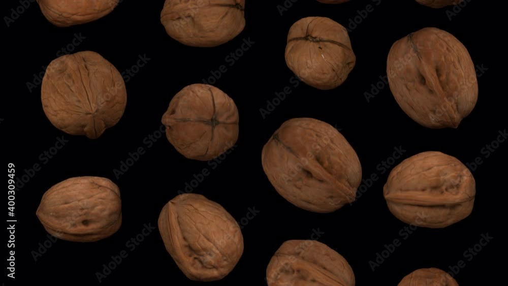 Realistic render of falling walnuts on transparent background (with ...