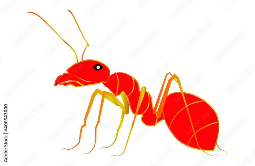 red ant isolated on white Stock Vector | Adobe Stock