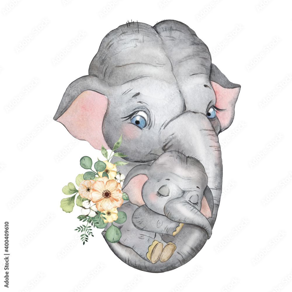 Baby Elephant And Mother